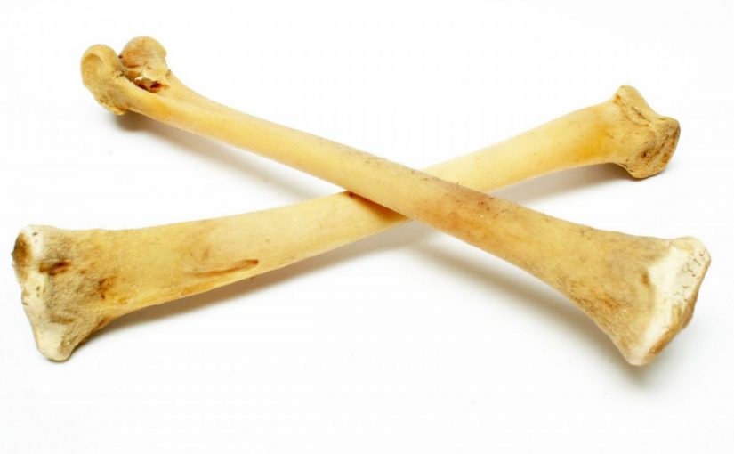Dream Meaning Of Bone Dream Interpretation Dream Meaning Of Bone Dream Interpretation