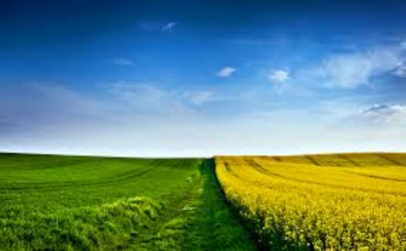 Dream Meaning Of Field Dream Interpretation Dream Meaning Of Field Dream Interpretation